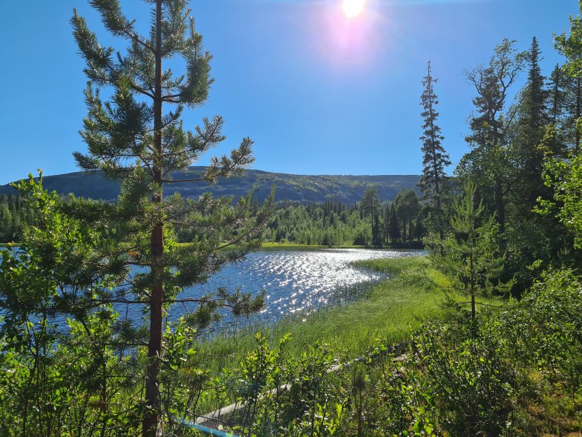 Etusivu - Kotitunturi