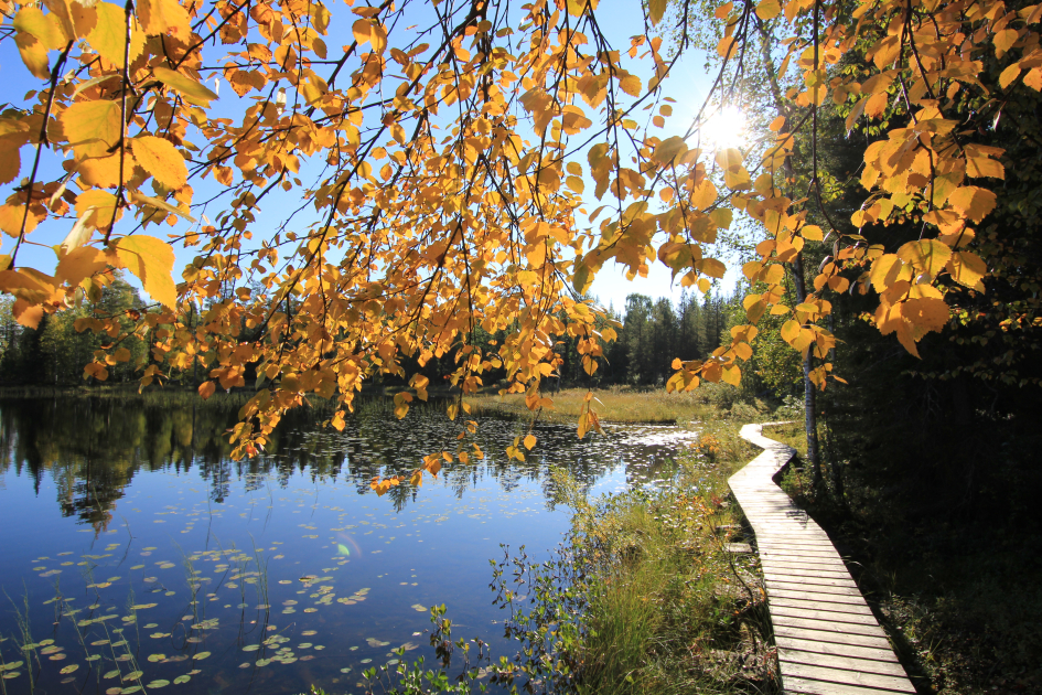 Yhteystiedot - Kotitunturi
